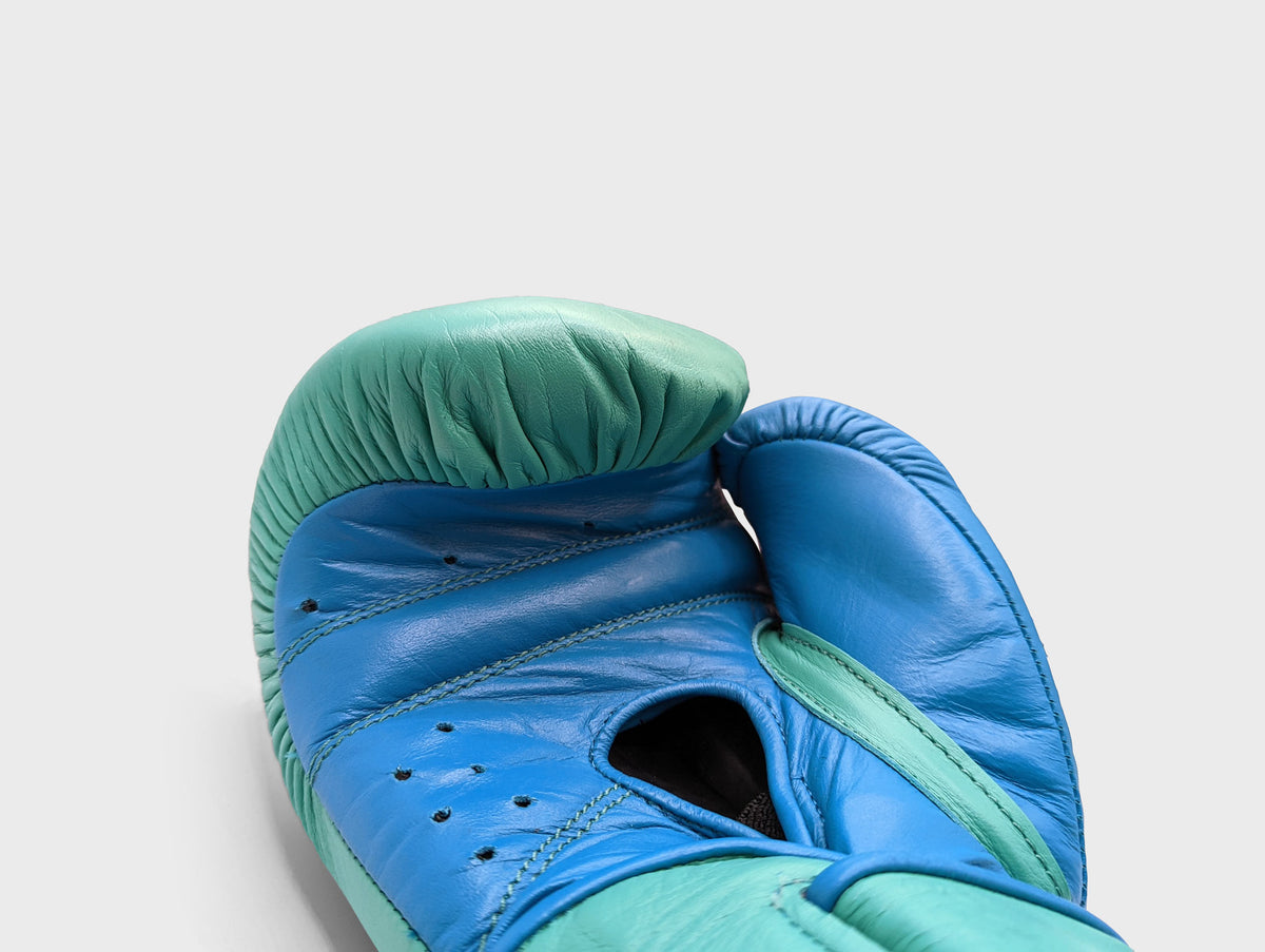 Everlast Powerlock2 Pro Training Gloves | ATL Fight Shop